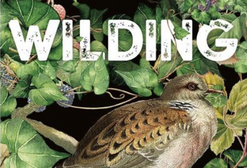 REVIEW: Wilding: The Return to Nature of a British Farm by Isabella ...